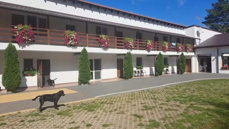 Forest Retreat | Hotel w Powiat złotowski, Województwo wielkopolskie